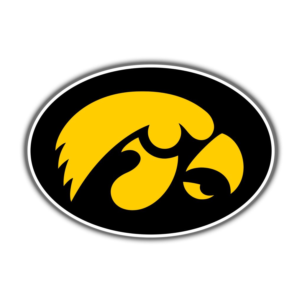 Iowa Hawkeyes – Yellow Hawk Head – Full Color Vinyl Decal – Custom Size ...